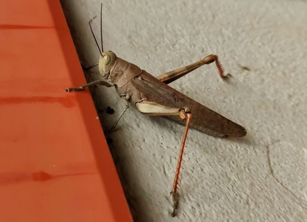 How to Keep Bugs Out of Storage Unit